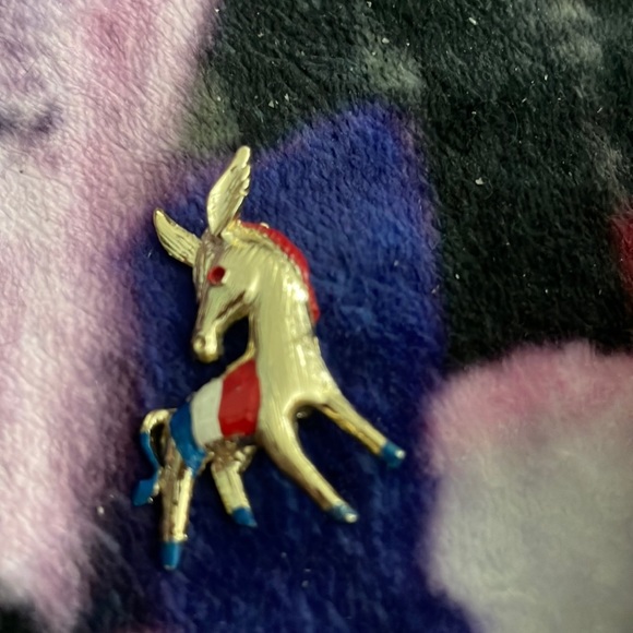 Jewelry | Vintage Democratic Donkey Brooch | Poshmark